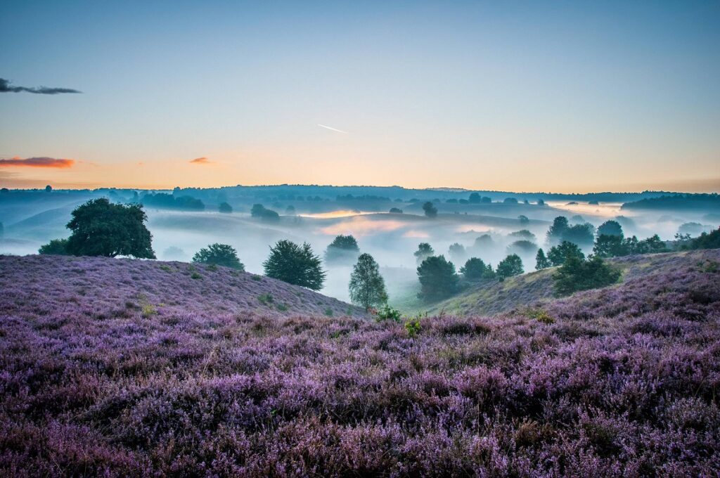 Ultimate Guide to the Netherlands' Veluwezoom National Park